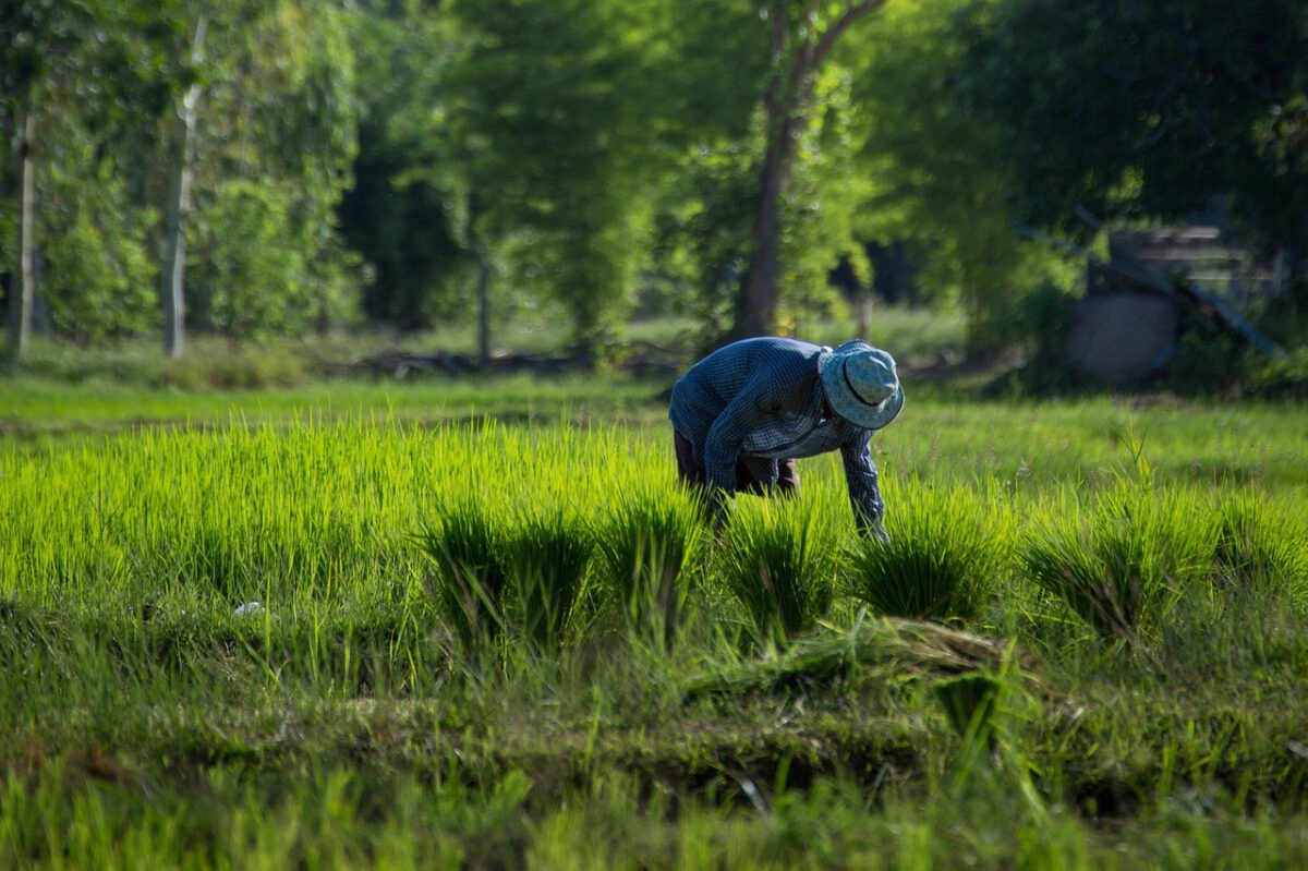 Udon Thani Thailand - Der unentdeckte Schatz im Isaan